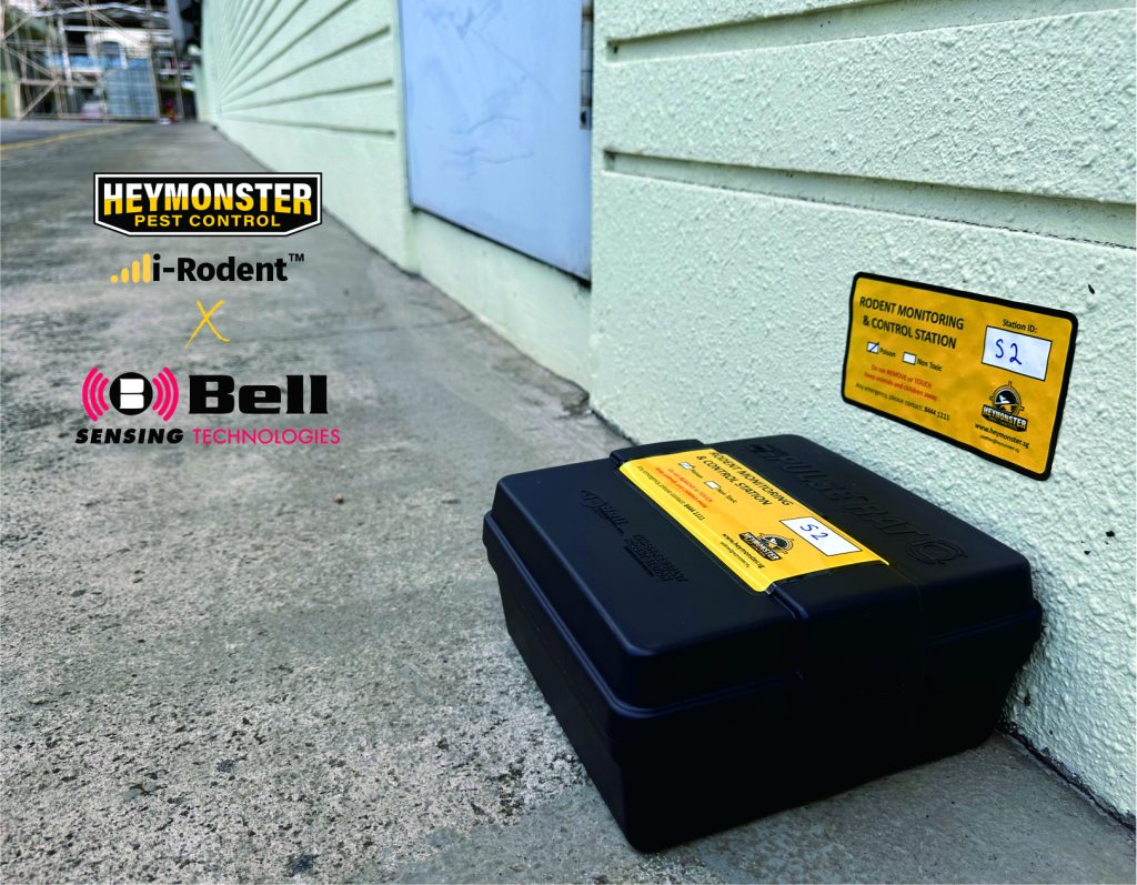 Rat Control – HEYMONSTER Pest Control